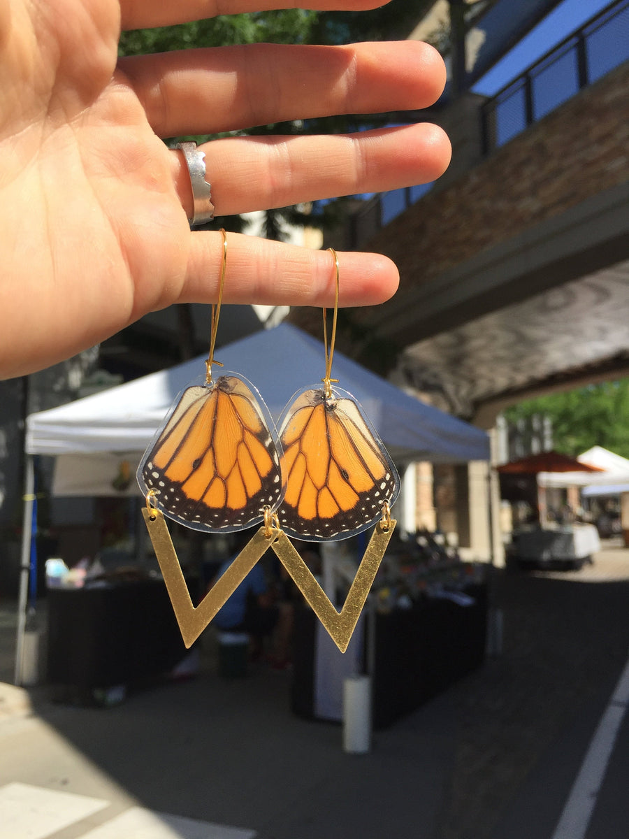 Real Monarch Butterfly Wings